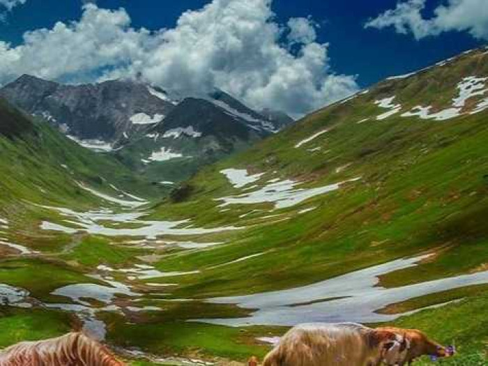 3 Days & 2 Nights Tour to NARAN Rs 14499 - NARAN | Travelot.pk